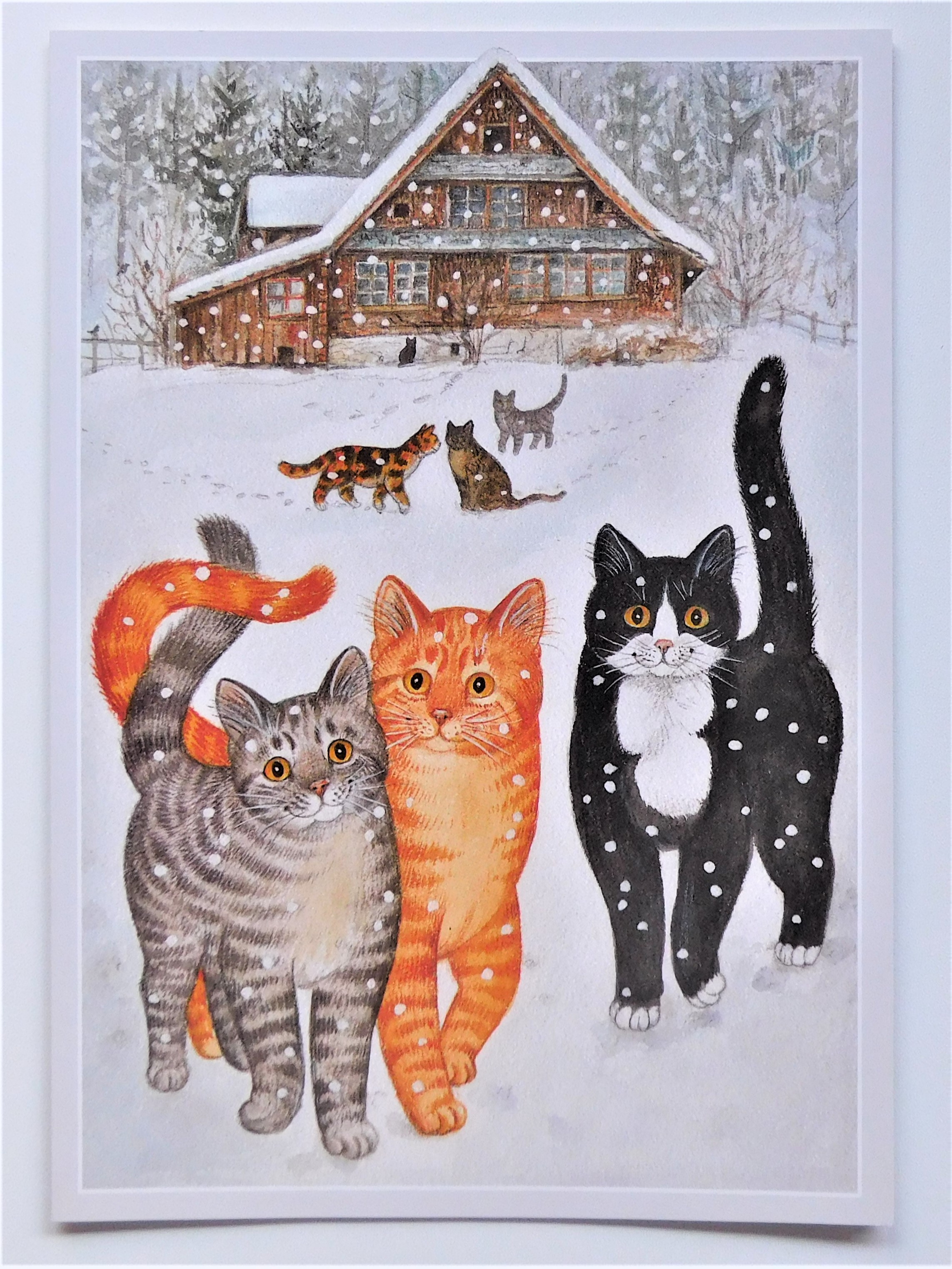 GB Große Klappkarte 3 Katzen | Was gibt es Neues? | Tatzenladen
